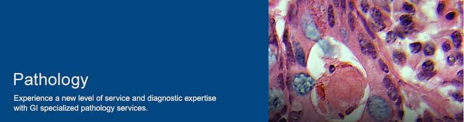 Gastroenterology - Boston Scientific